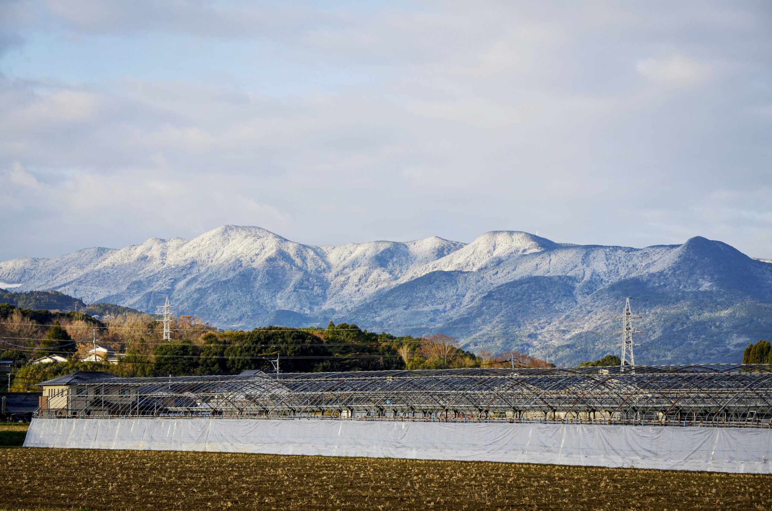 雪が降りましたね | muchu!