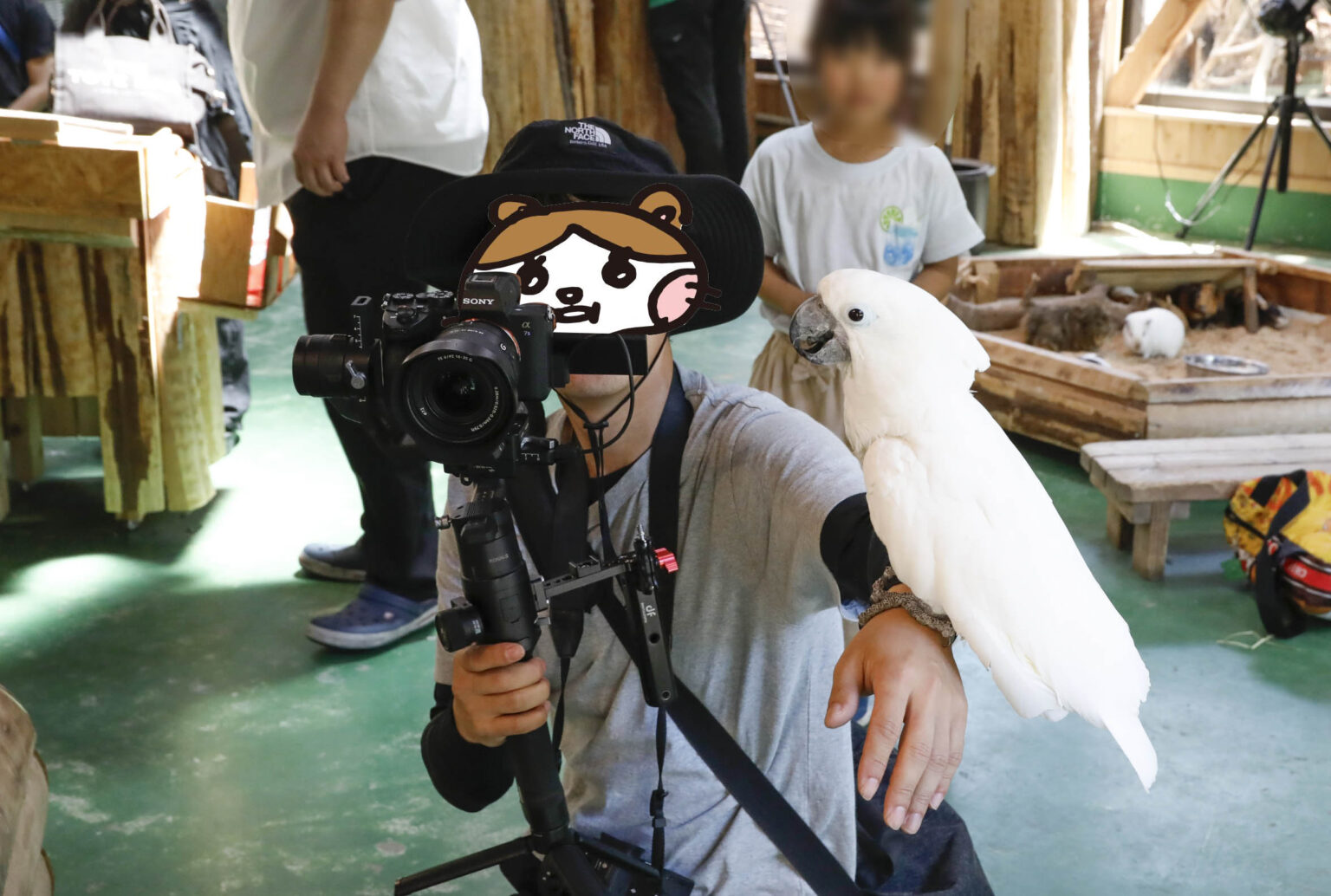 東彼杵町おすすめカフェ／Tsubame coffee（ツバメコーヒー） | muchu!