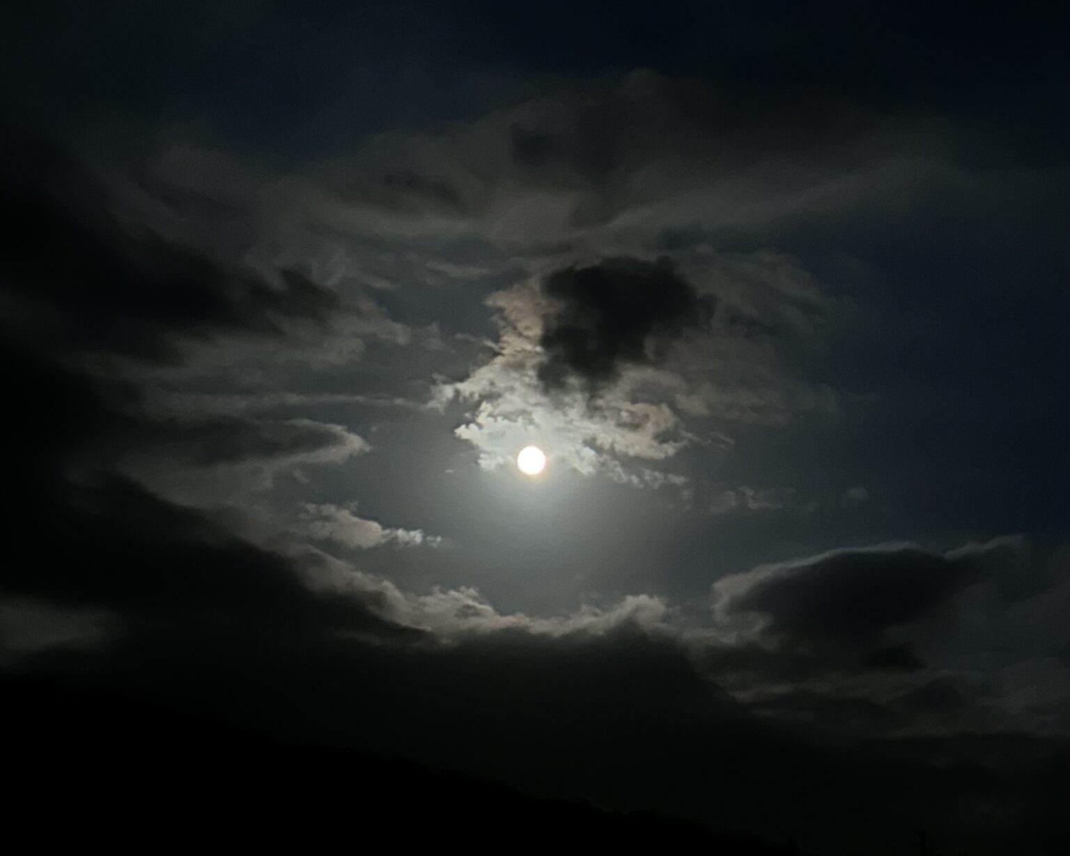 武雄市のピザ専門店／Da Iader（ダ・ヤーデル） | muchu!