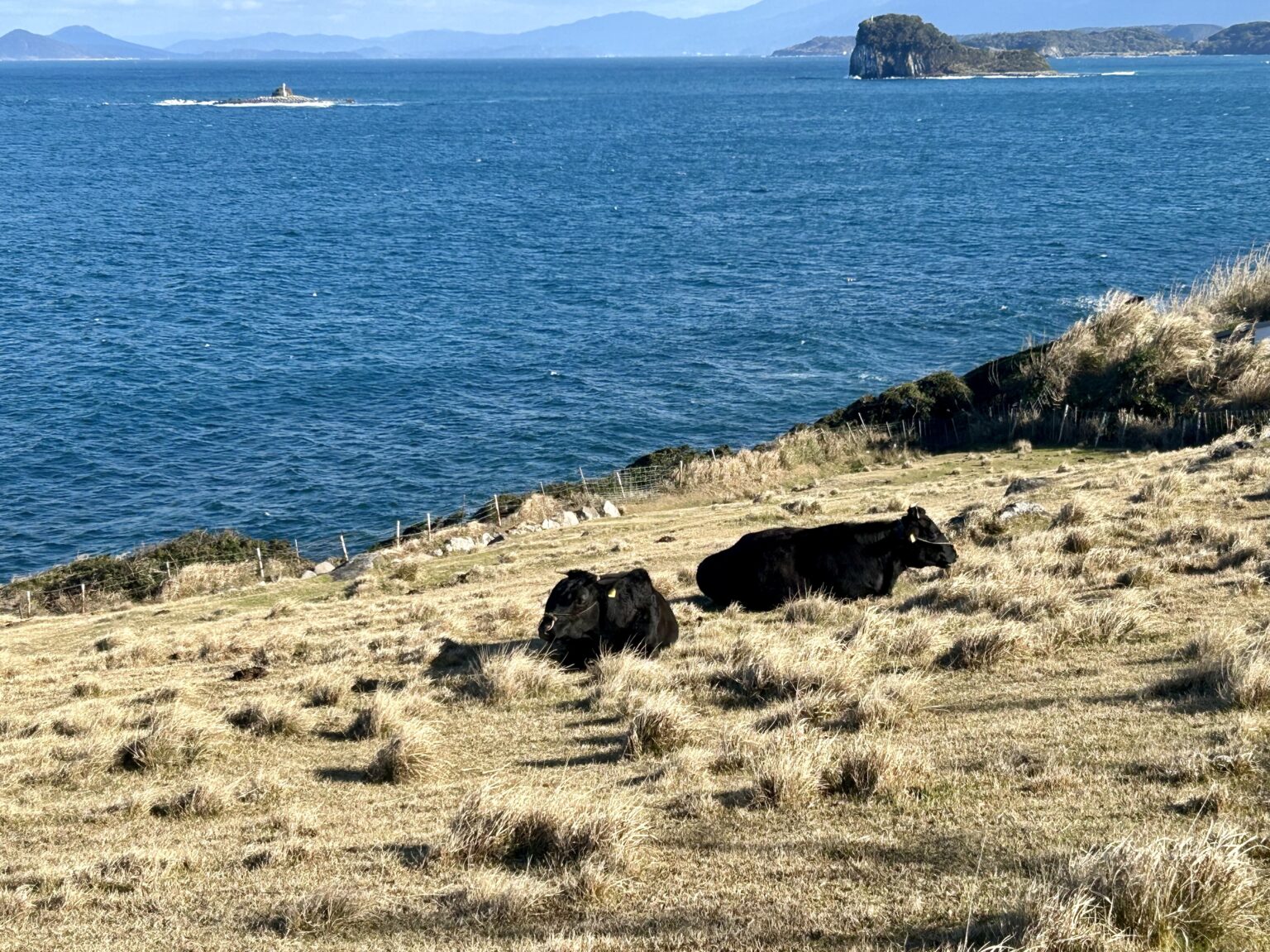 唐津ドライブおすすめスポット in 加部島 | muchu!